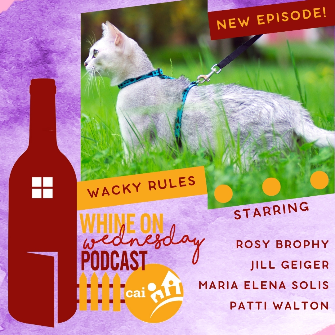 Whine on Wednesday: Wacky Rules - CAI Keystone